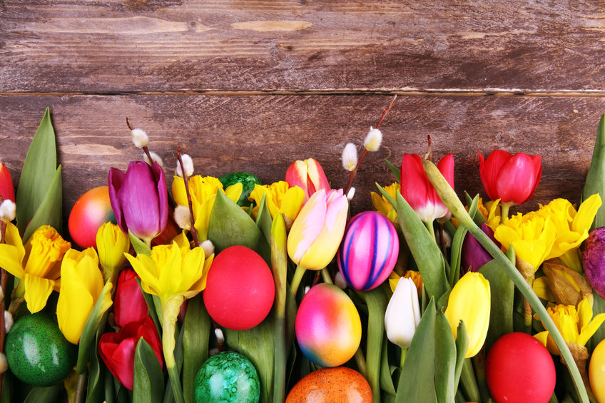 The Symbolism Behind Traditional Easter Flowers - Cole's Flowers